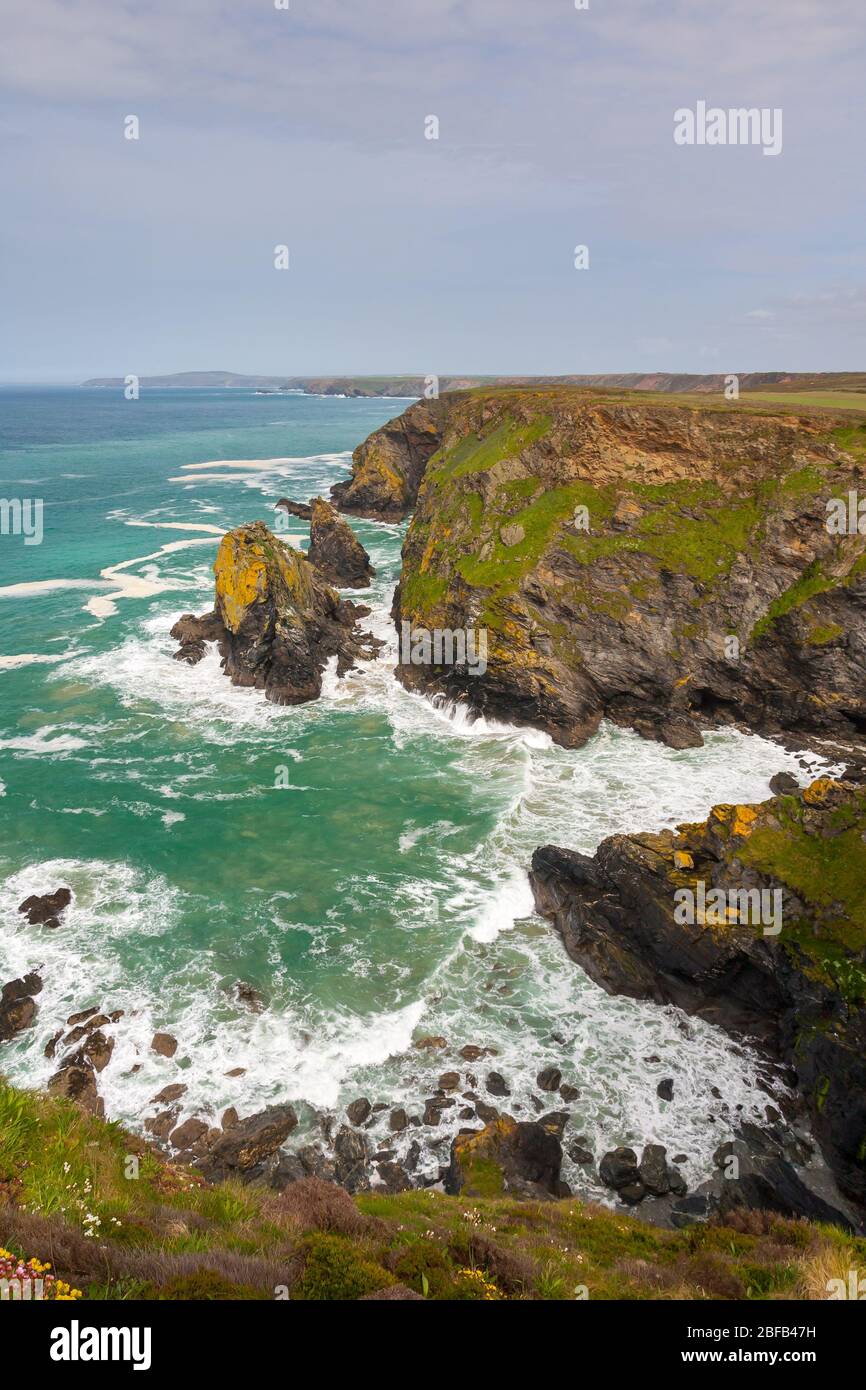 Overlooking the dramatic cove at Hells Mouth, North Cliffs, Cornwall ...