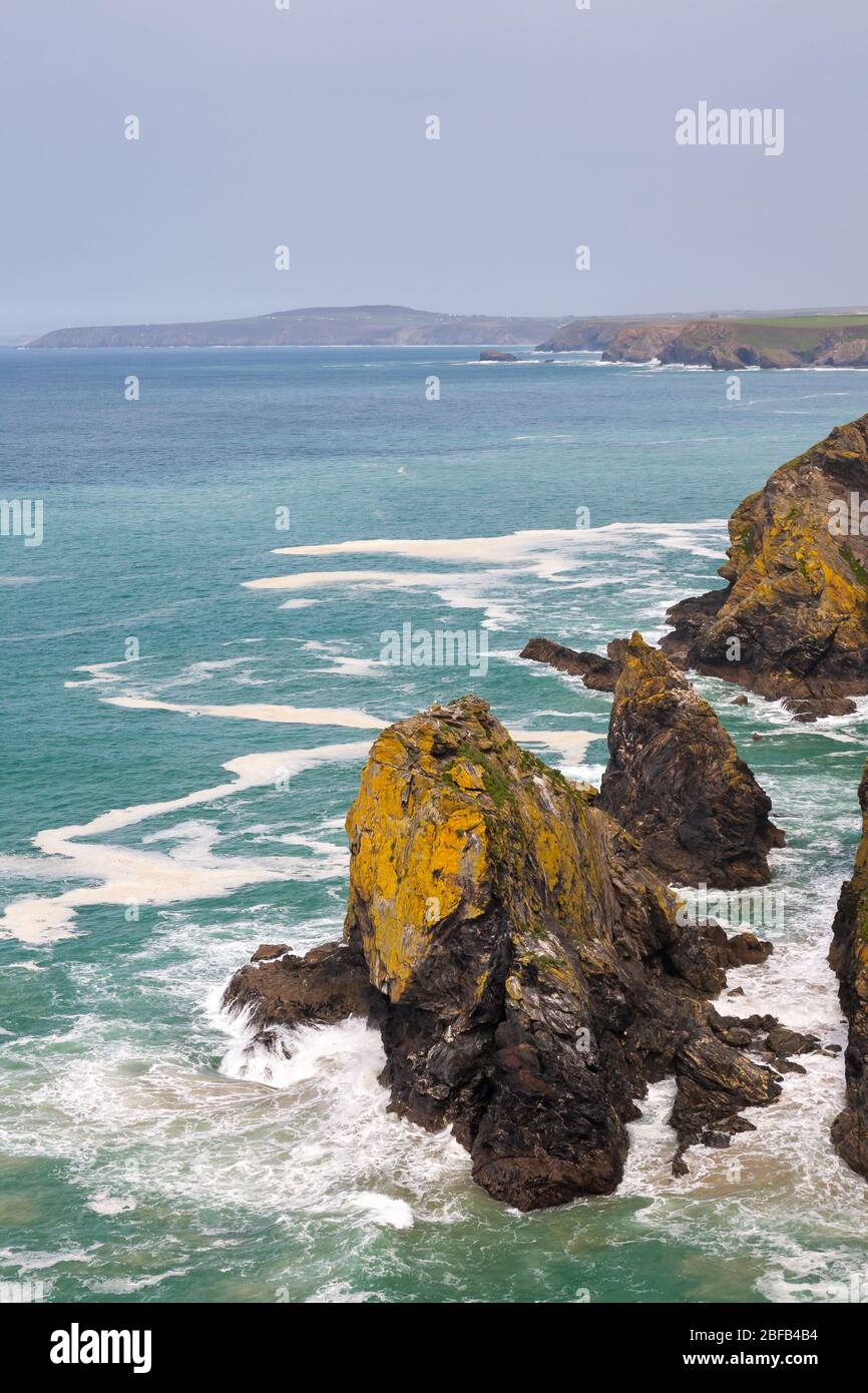 Overlooking the dramatic cove at Hells Mouth, North Cliffs, Cornwall ...