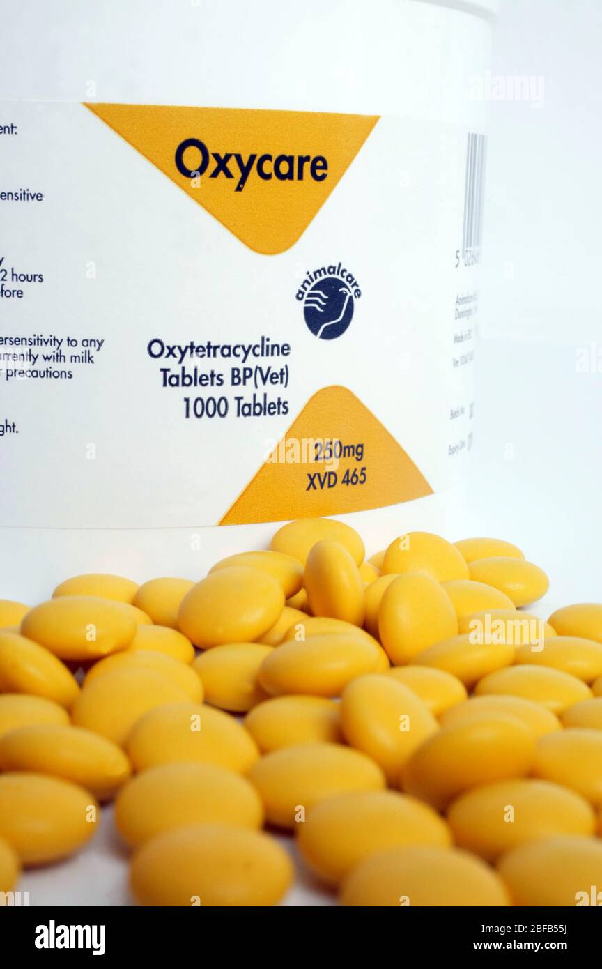 Oxytetracycline hi-res stock photography and images - Alamy