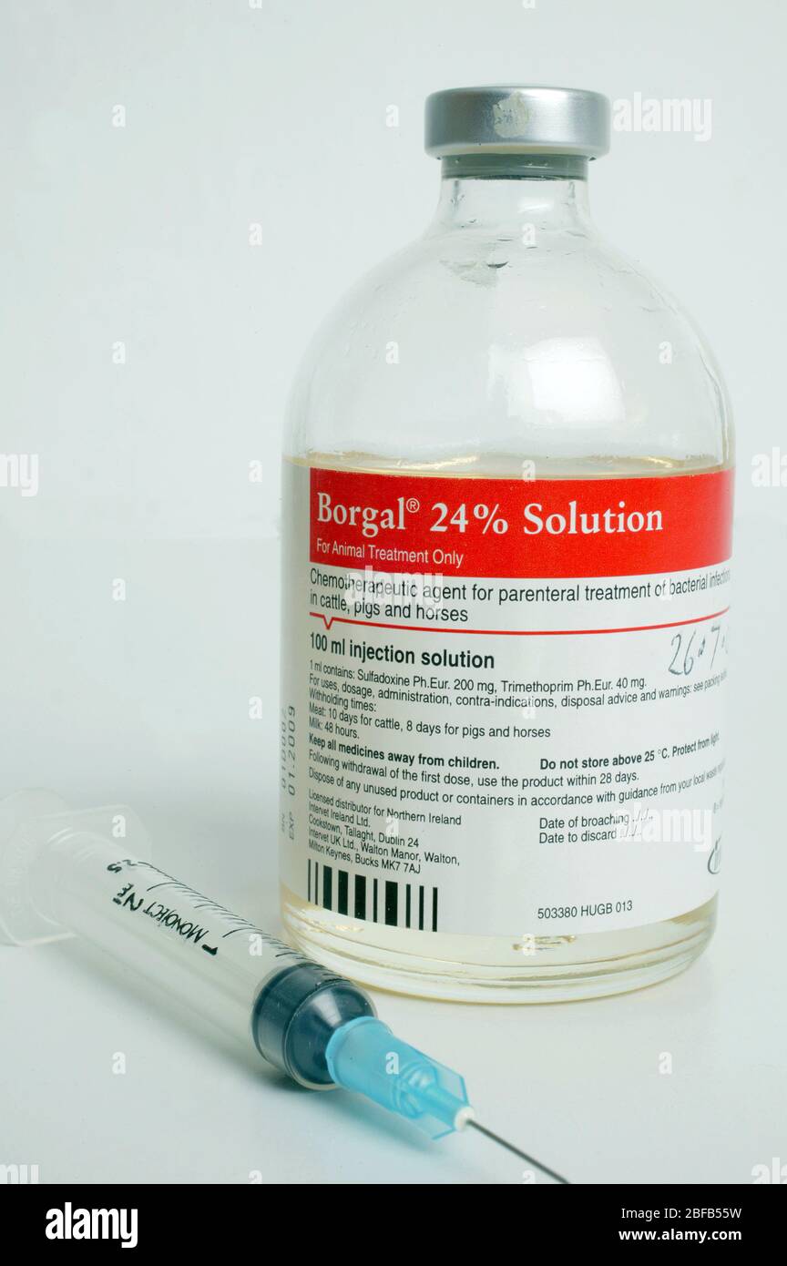 Borgal 24% solution Stock Photo - Alamy