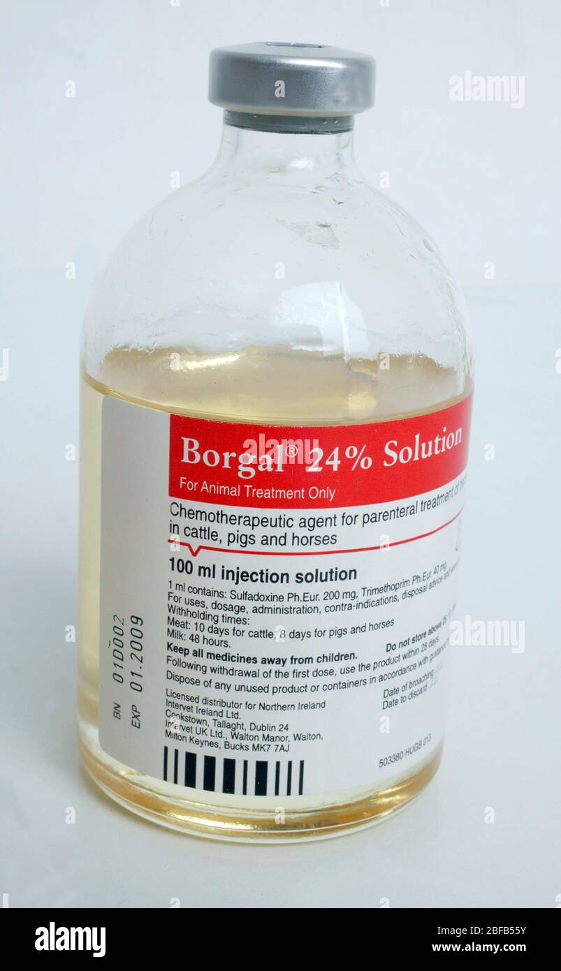 Veterinary solution hi-res stock photography and images - Alamy