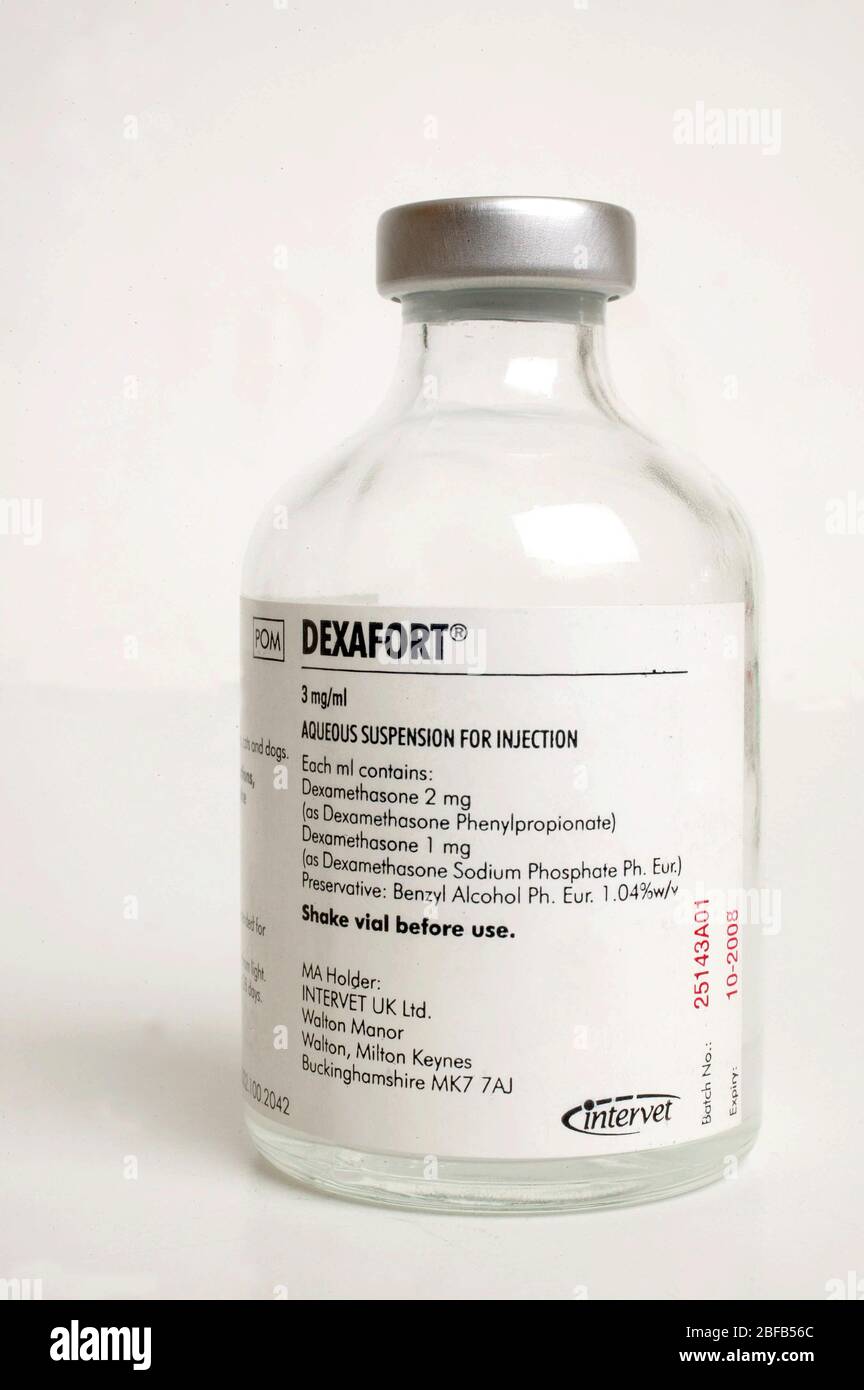 Dexamethasone injection hi-res stock photography and images - Alamy