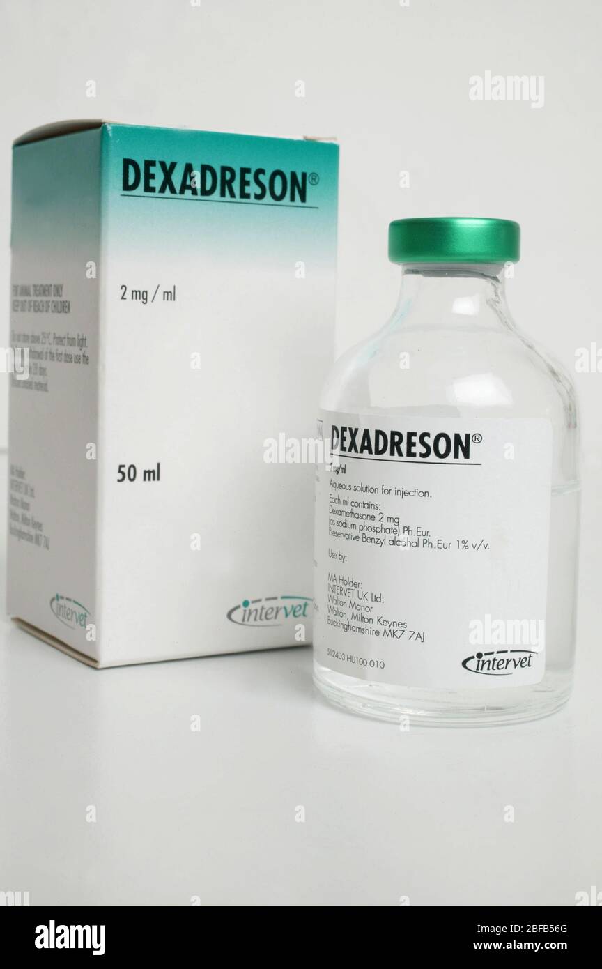 Dexadreson aqueos suspension for injection Stock Photo - Alamy