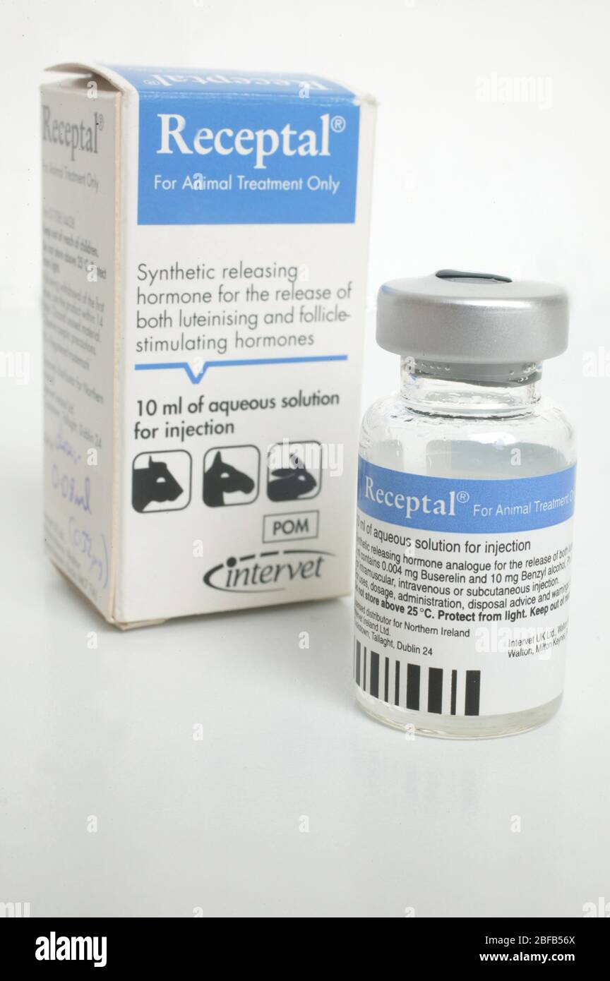 Follicle stimulating hi-res stock photography and images - Alamy