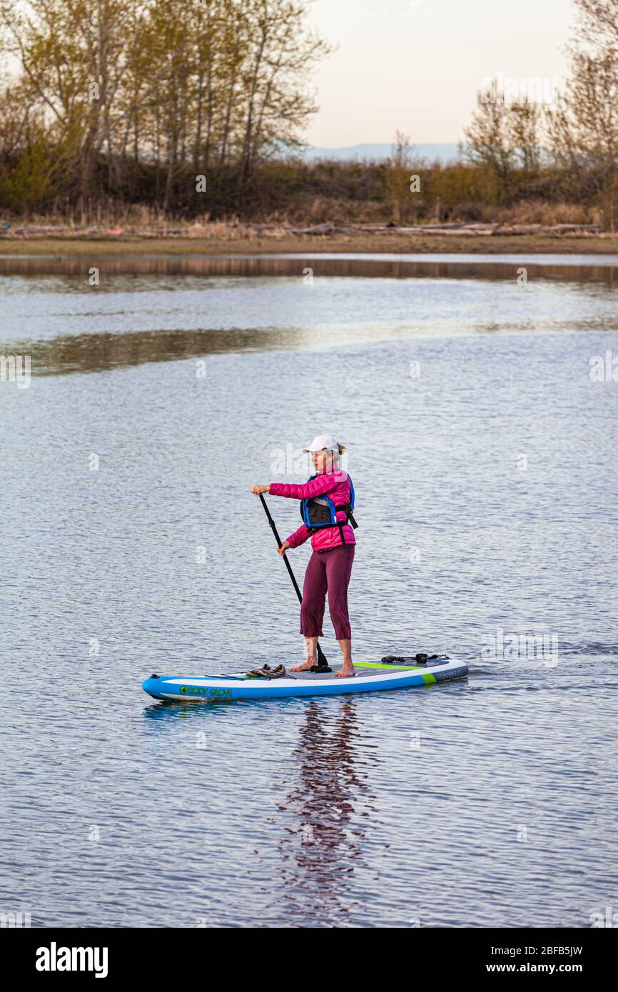 Body glove paddleboard hi-res stock photography and images - Alamy