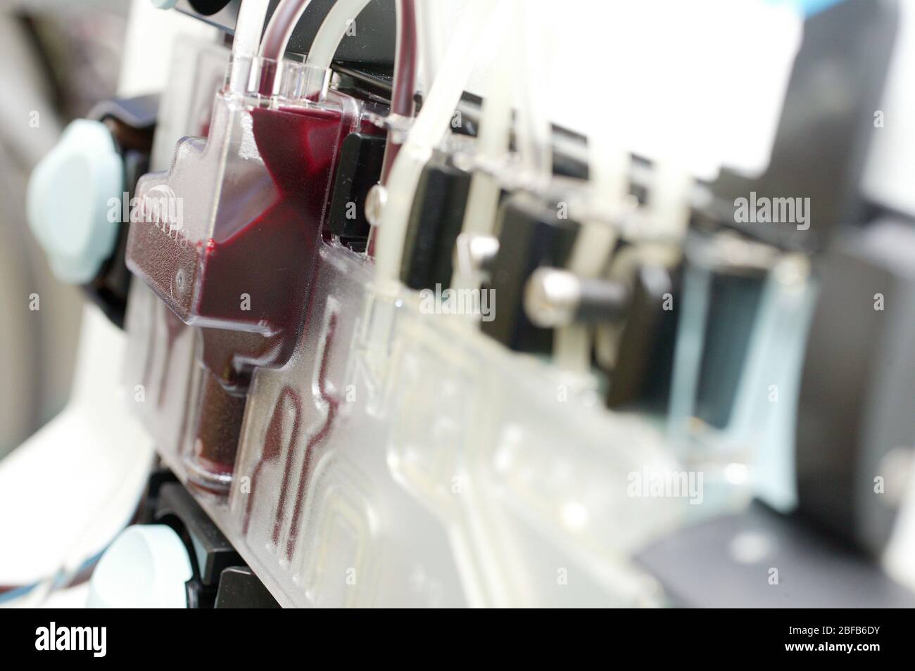 The Trima Accel. This is an online automated centrifuge used to ...