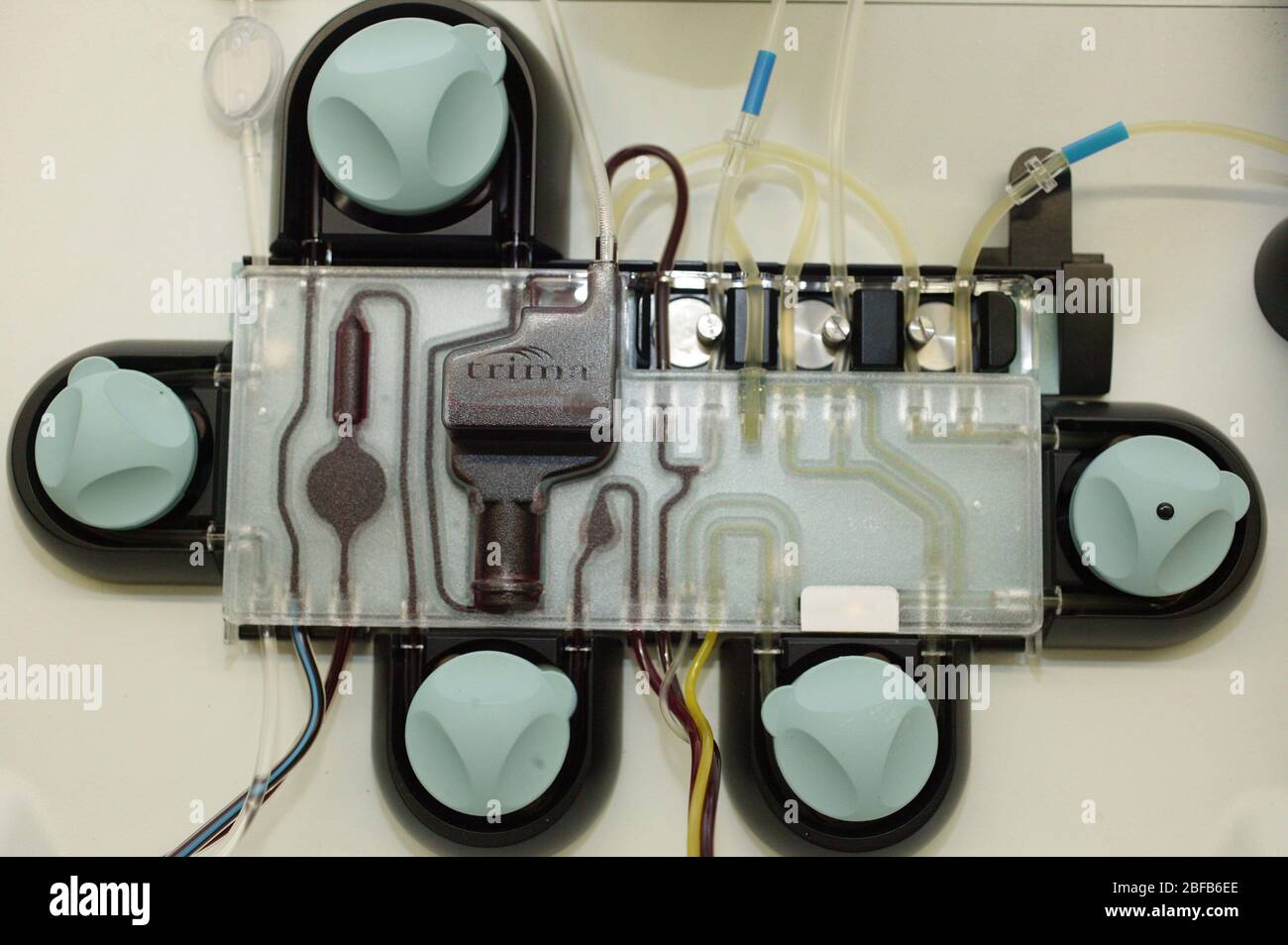 Trima accel automated blood collection system hi-res stock photography ...