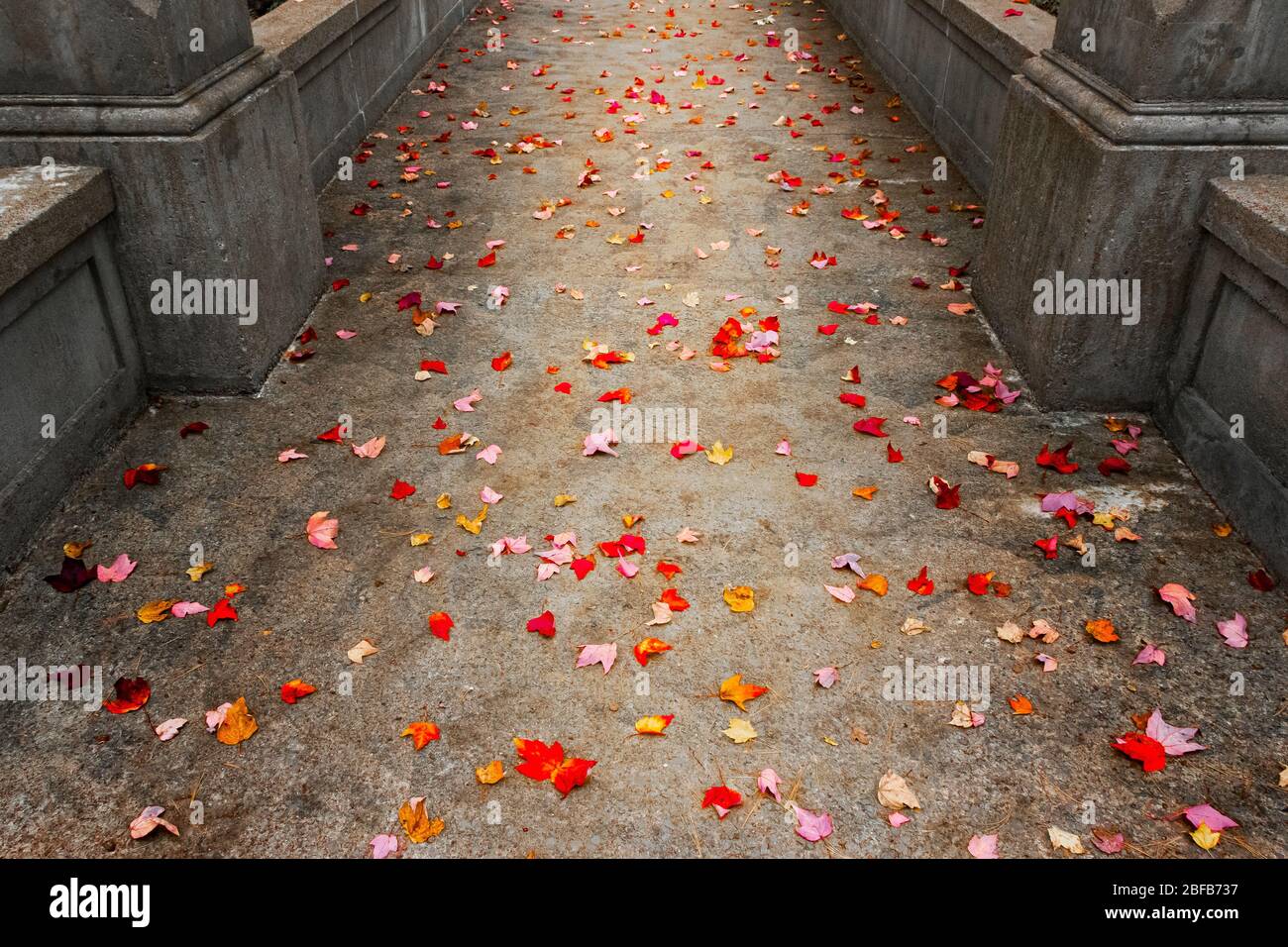 Concrete pedestrian bridge texture hi-res stock photography and images ...