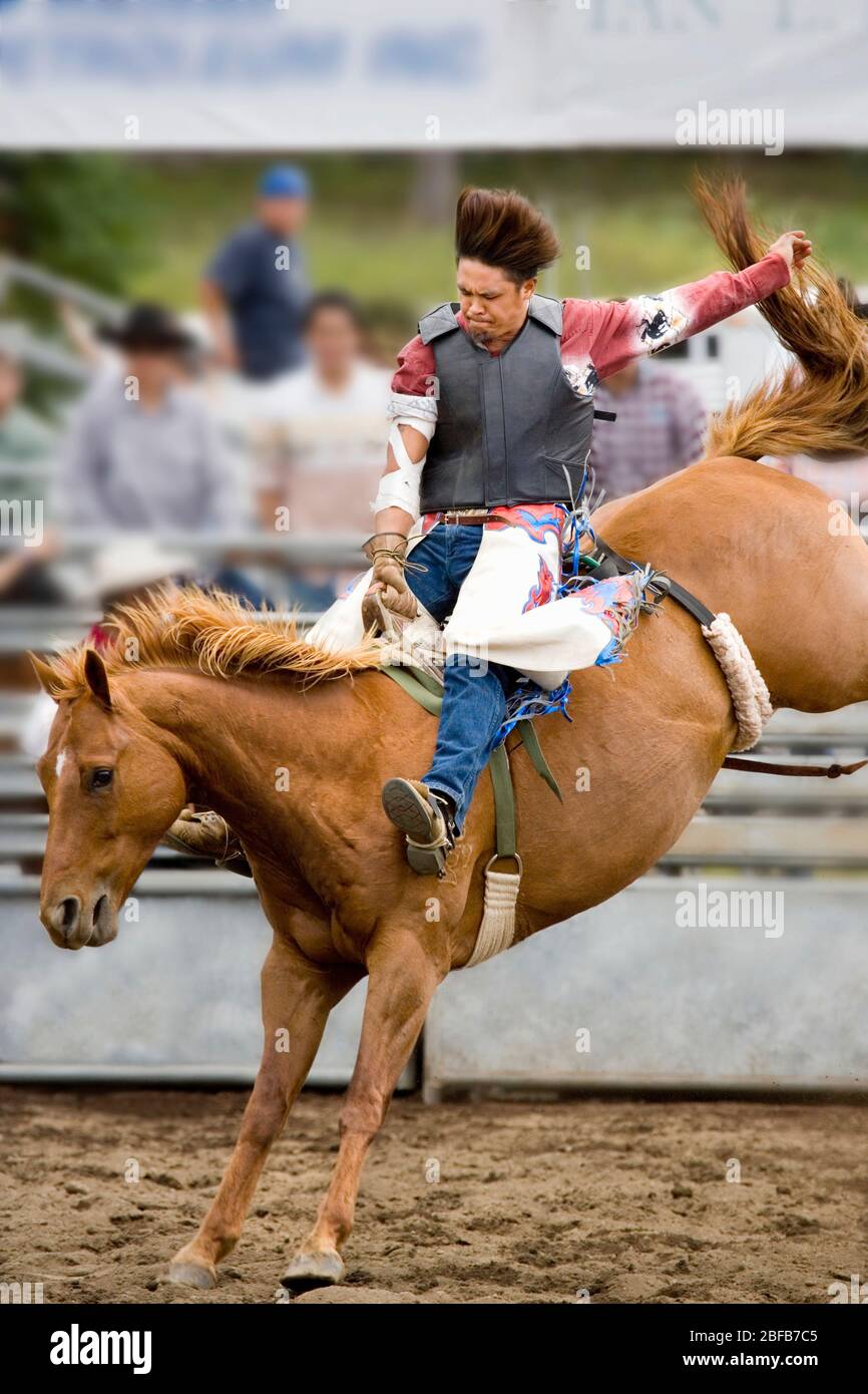 Bareback bronc riding hi-res stock photography and images - Alamy