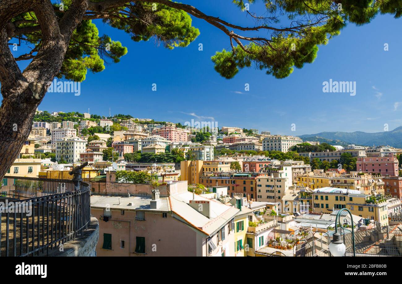 Colorful buildings on hill in city district of Genoa Genova and ...