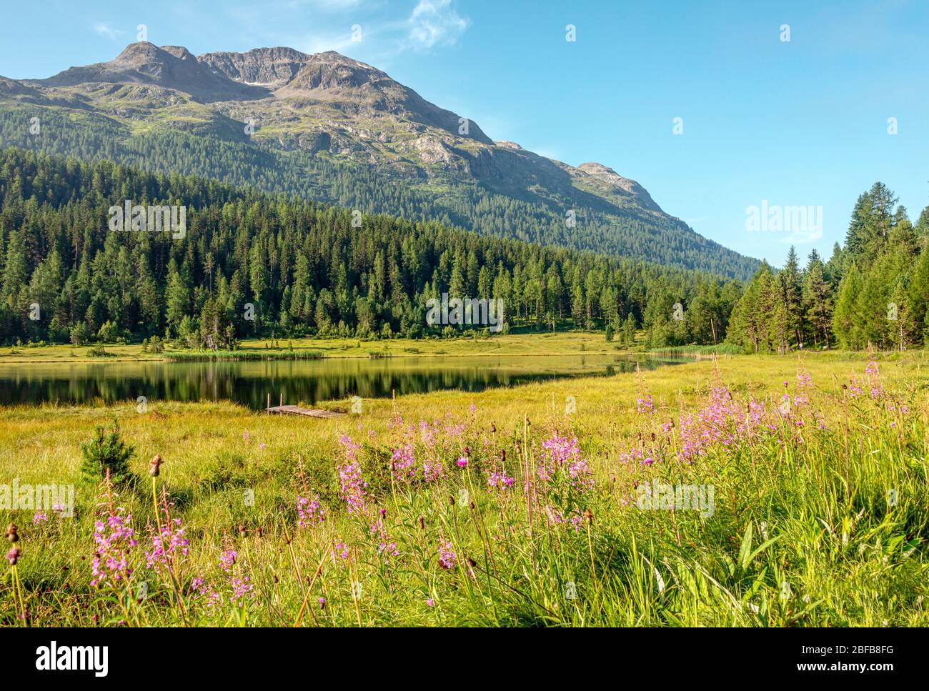 Spring landscape at Lej da Staz (Lake Staz) , Engadine, Grisons ...