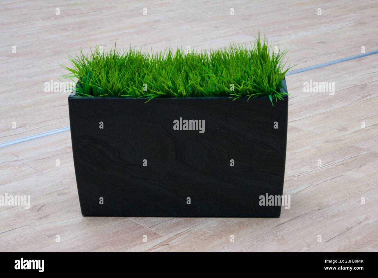An element of interior design - a rectangular flower pot with live ...