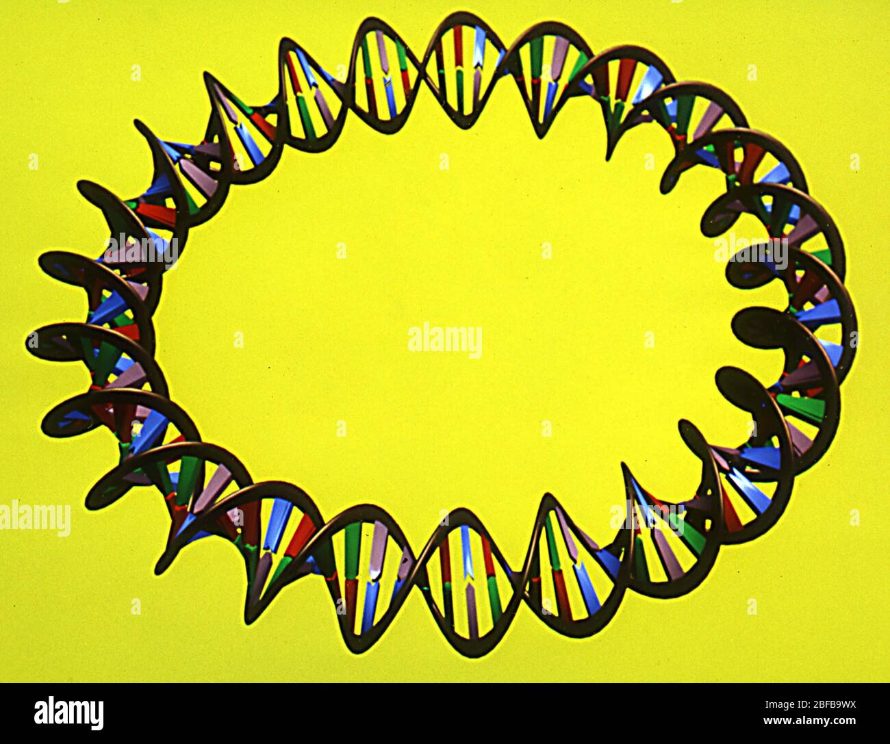 Genetic substance DNA with helix strands and base pairs Stock Photo - Alamy