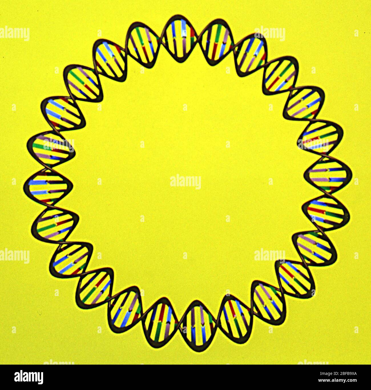 Genetic substance DNA with helix strands and base pairs Stock Photo - Alamy