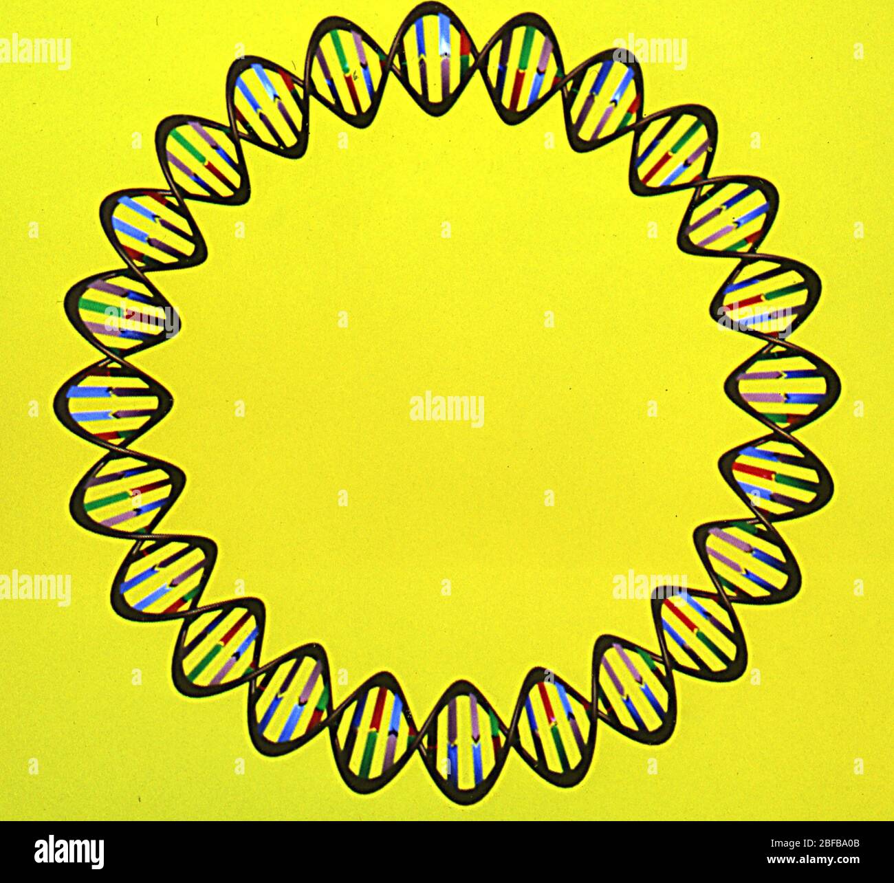 Genetic substance DNA with helix strands and base pairs Stock Photo - Alamy
