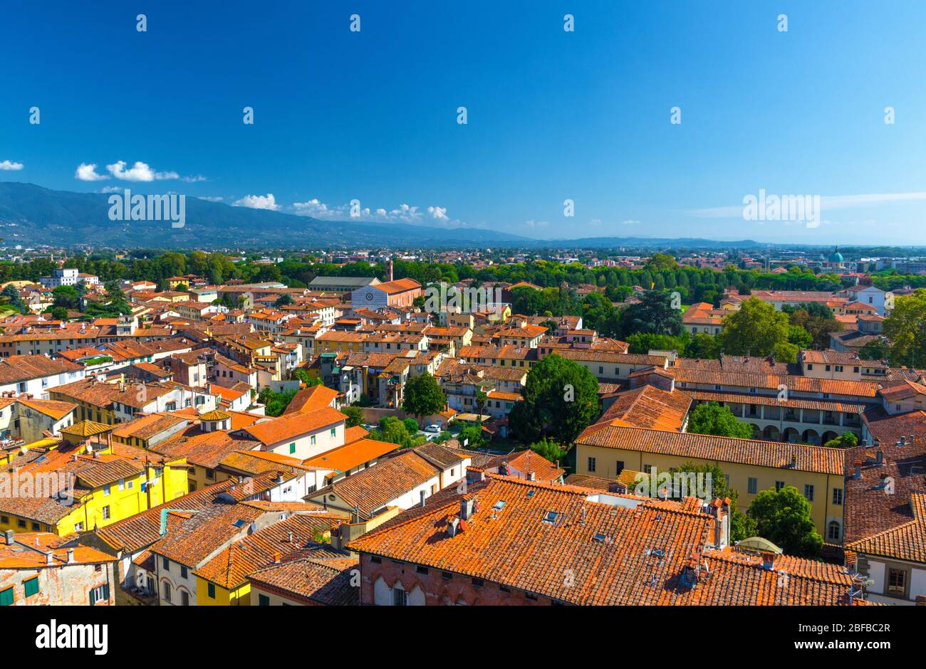 Aerial top panoramic view of historical centre medieval town Lucca with ...