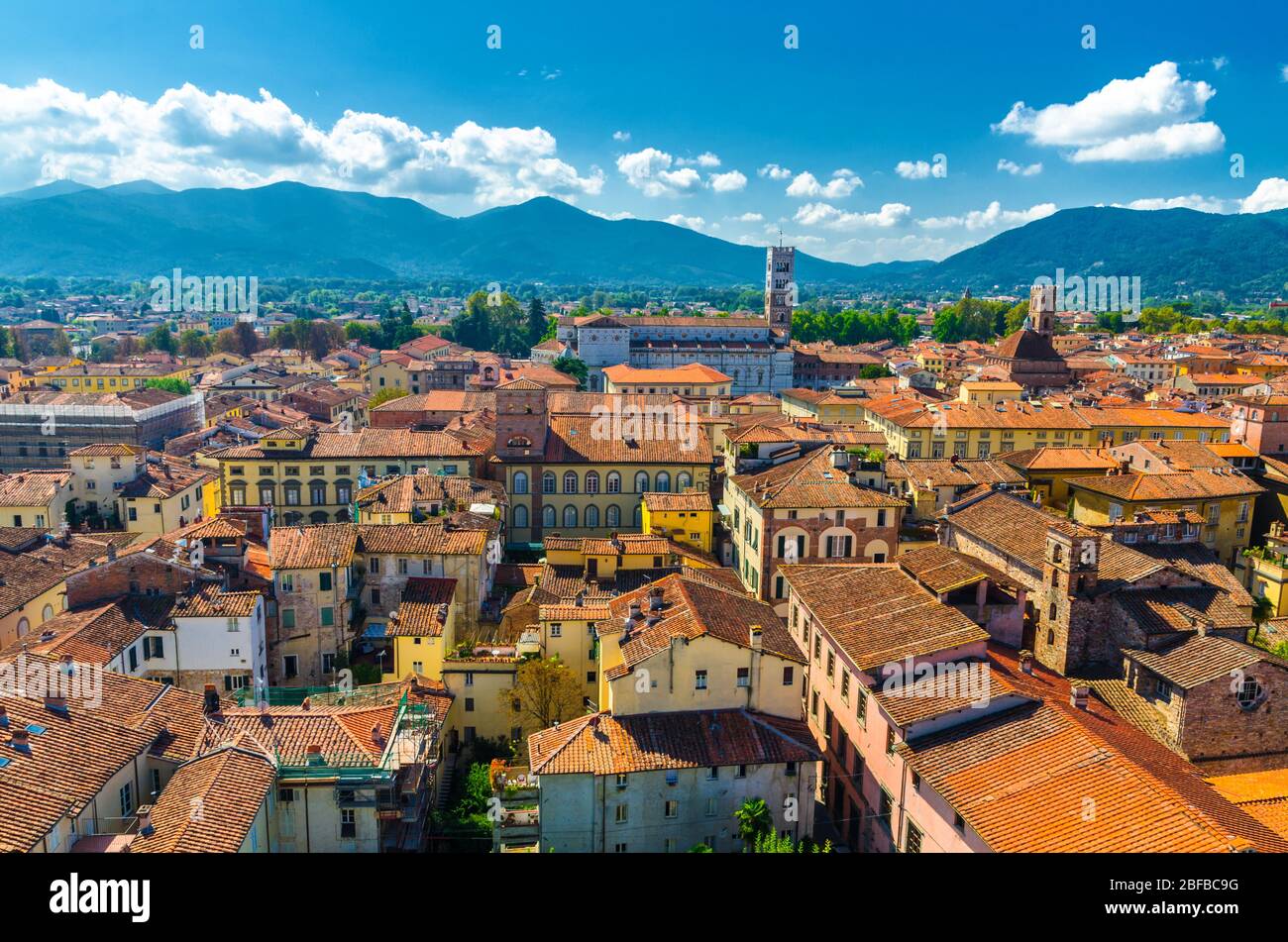 Aerial top panoramic view of historical centre medieval town Lucca with ...