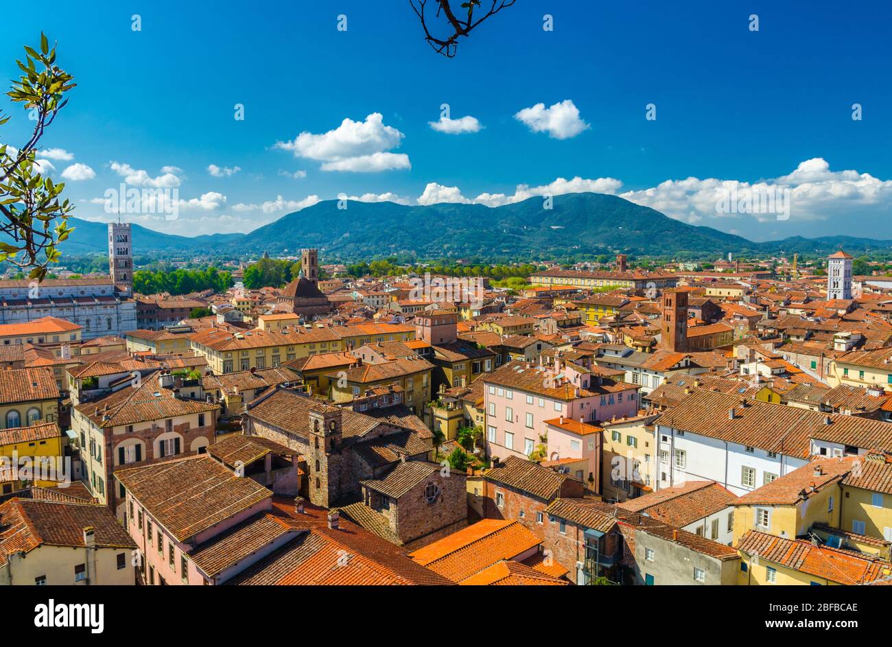 Aerial top panoramic view of historical centre medieval town Lucca with ...