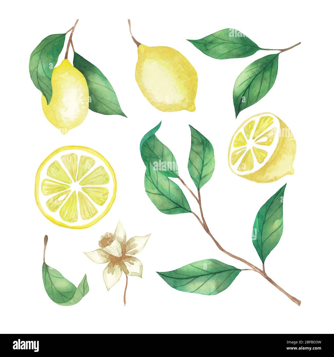 Hand drawn yellow lemons slices Cut Out Stock Images & Pictures - Alamy