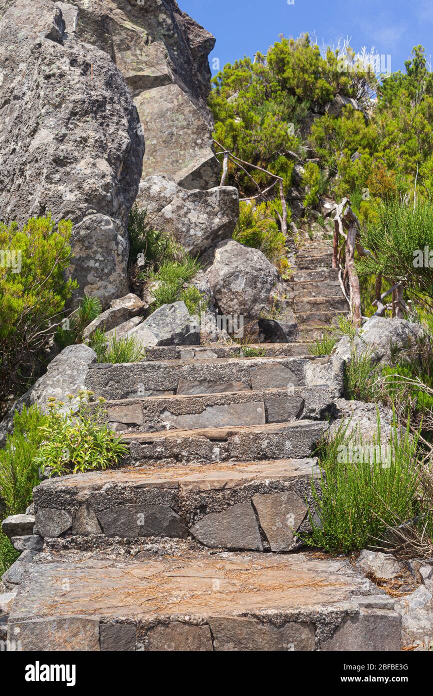 A stone staircase on a hiking trail in the mountains of Madeira ...
