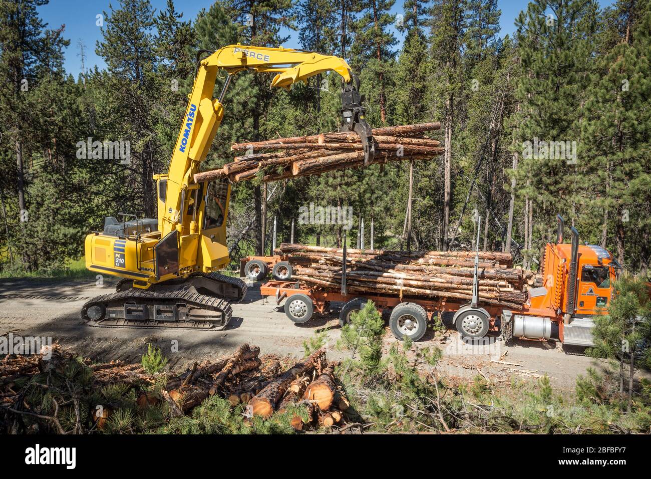 Logging truck usa to mill hi-res stock photography and images - Alamy