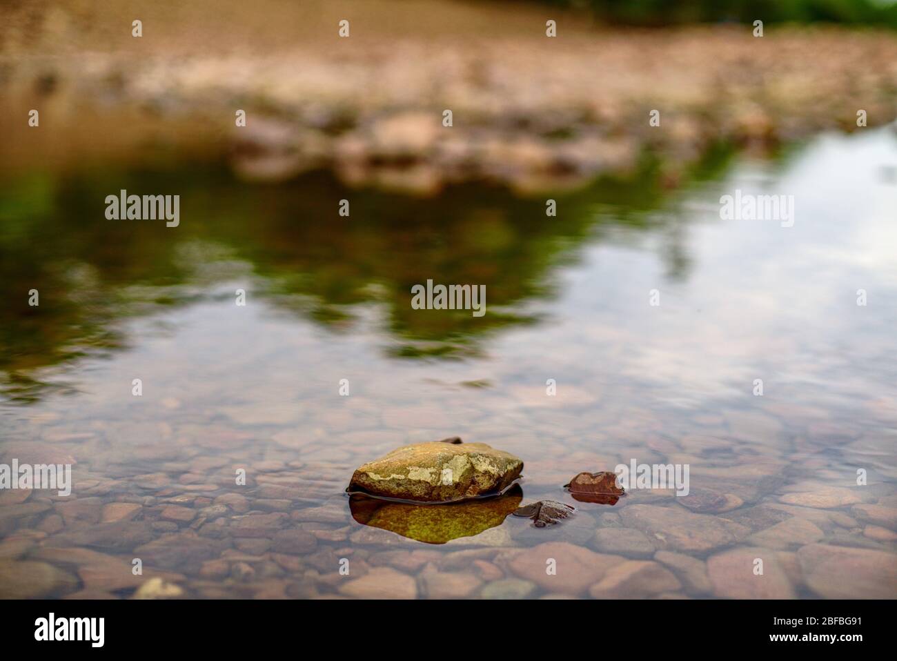 Stone in the river hi-res stock photography and images - Alamy