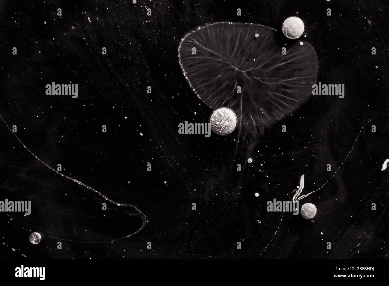 Macro photography with paint oil and milk hi-res stock photography and ...