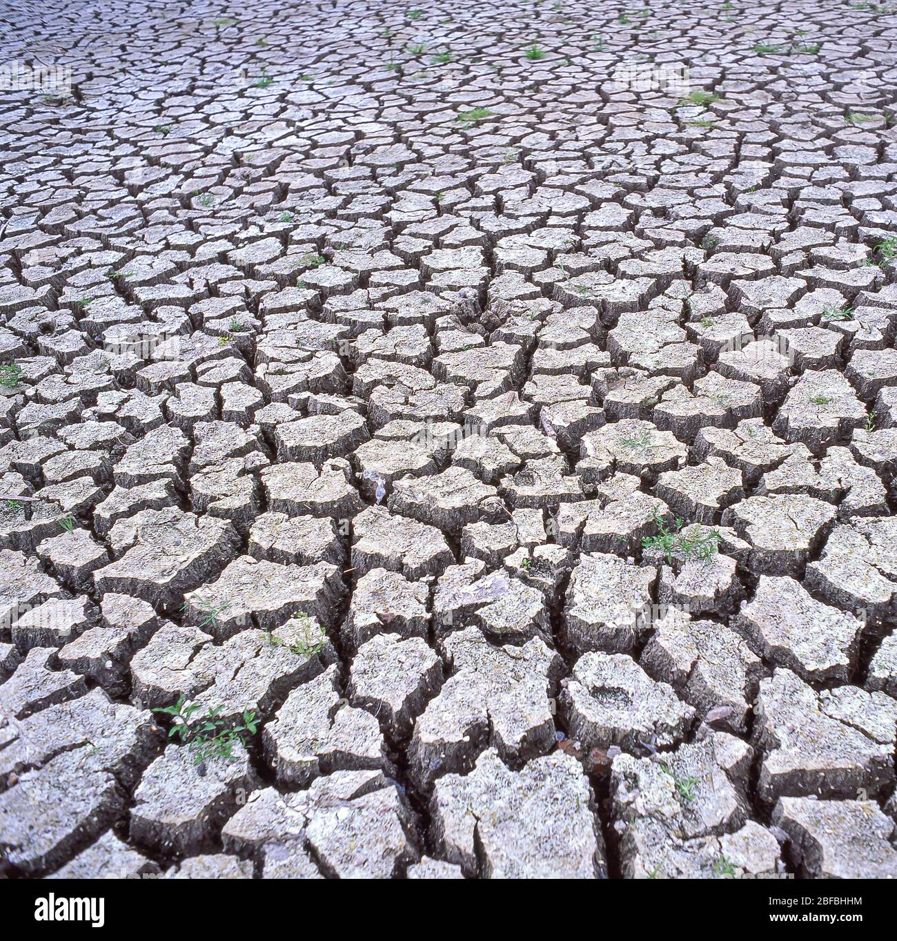 Earth cracked earth hi-res stock photography and images - Alamy