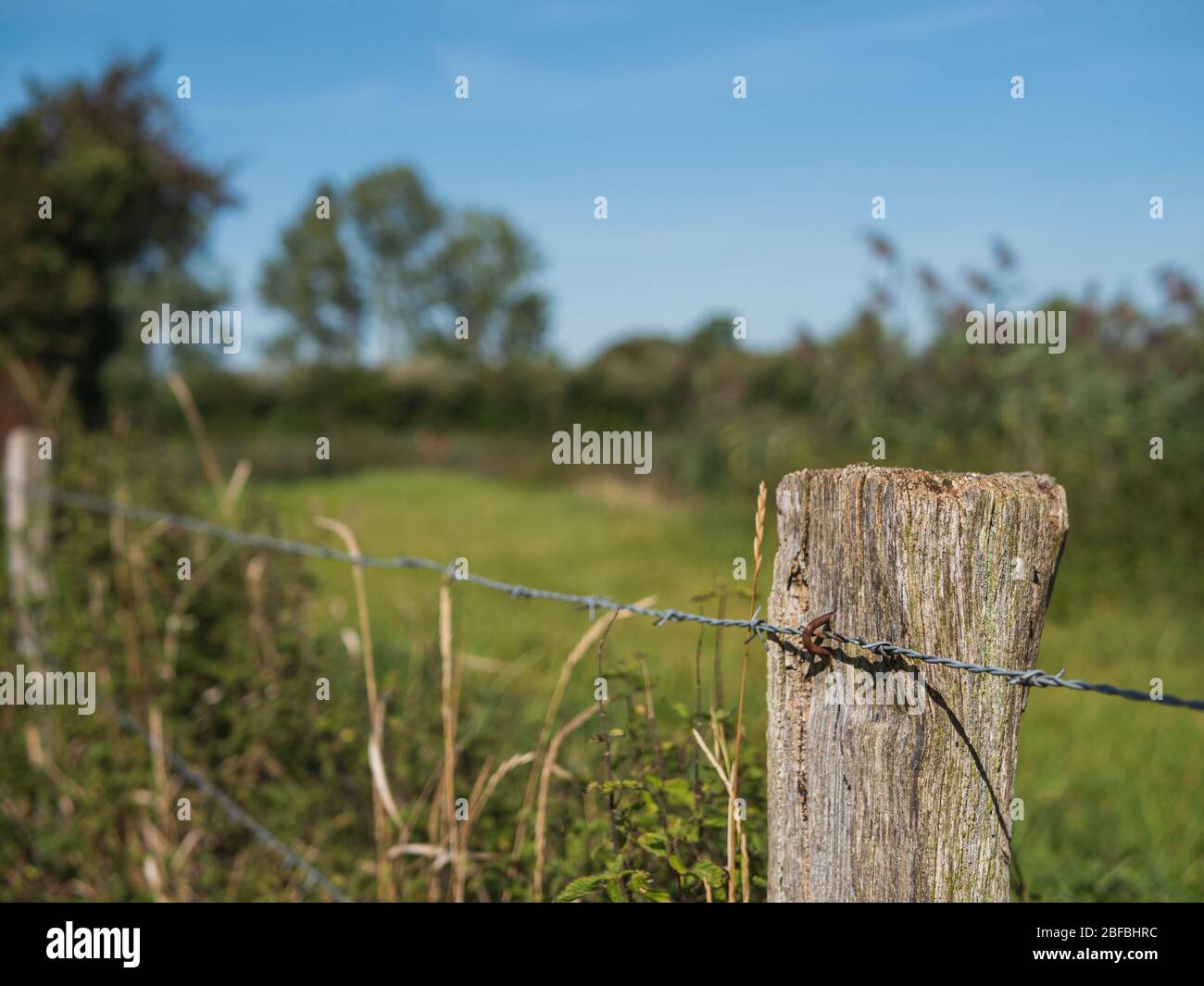 Old wicker fence post, wood pile with tensioned barbed wire Stock Photo ...