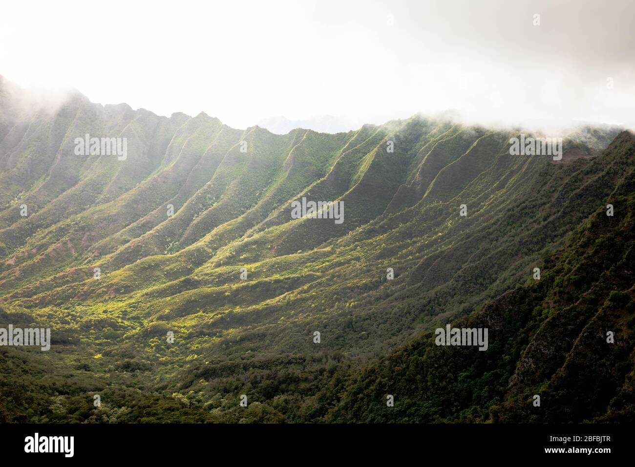 Hawaii mountain ridge hiking in beautiful landscapes with pristine ...