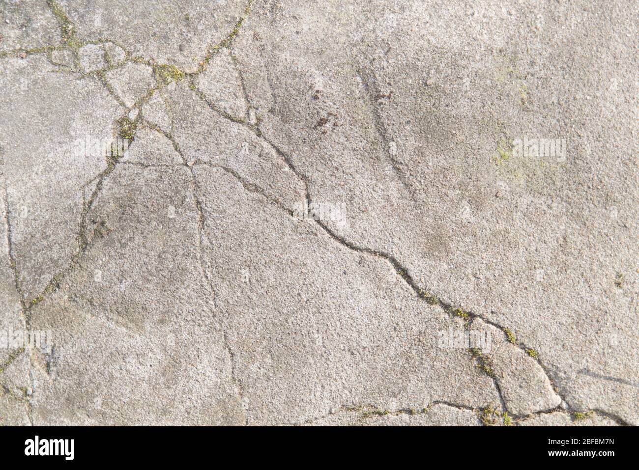 Close up photo of the cracks in a concrete footpath Stock Photo - Alamy