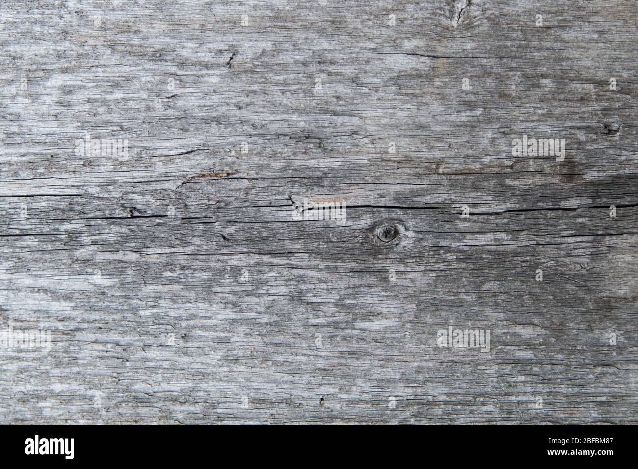 Old gray tree with knot close up texture Stock Photo - Alamy