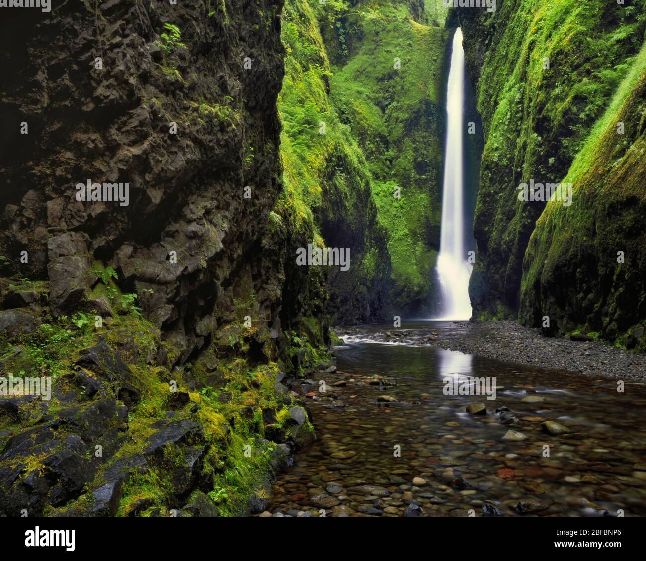 Lower Oneonta Falls cascades down seventy feet among the emerald beauty ...