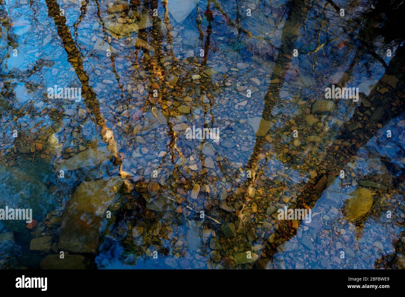 Reflection of trees and blue sky in shallow still water Stock Photo - Alamy