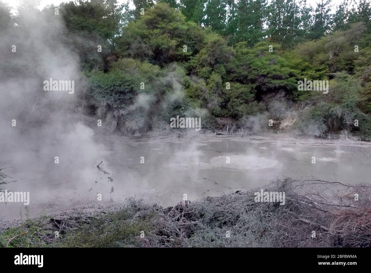 Rotorua boiling mud hi-res stock photography and images - Alamy