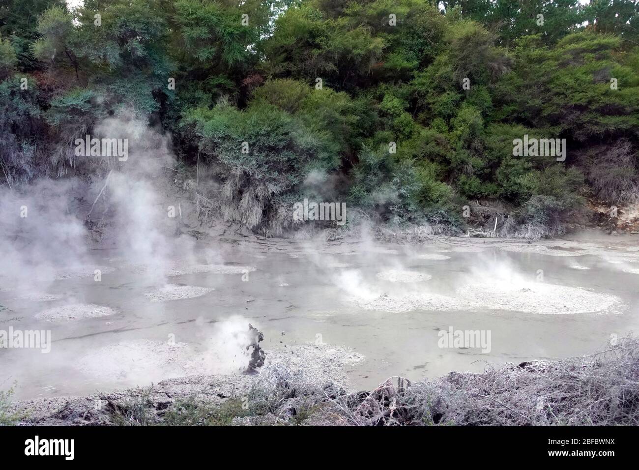 Boiling mud pool new zealand hi-res stock photography and images - Alamy