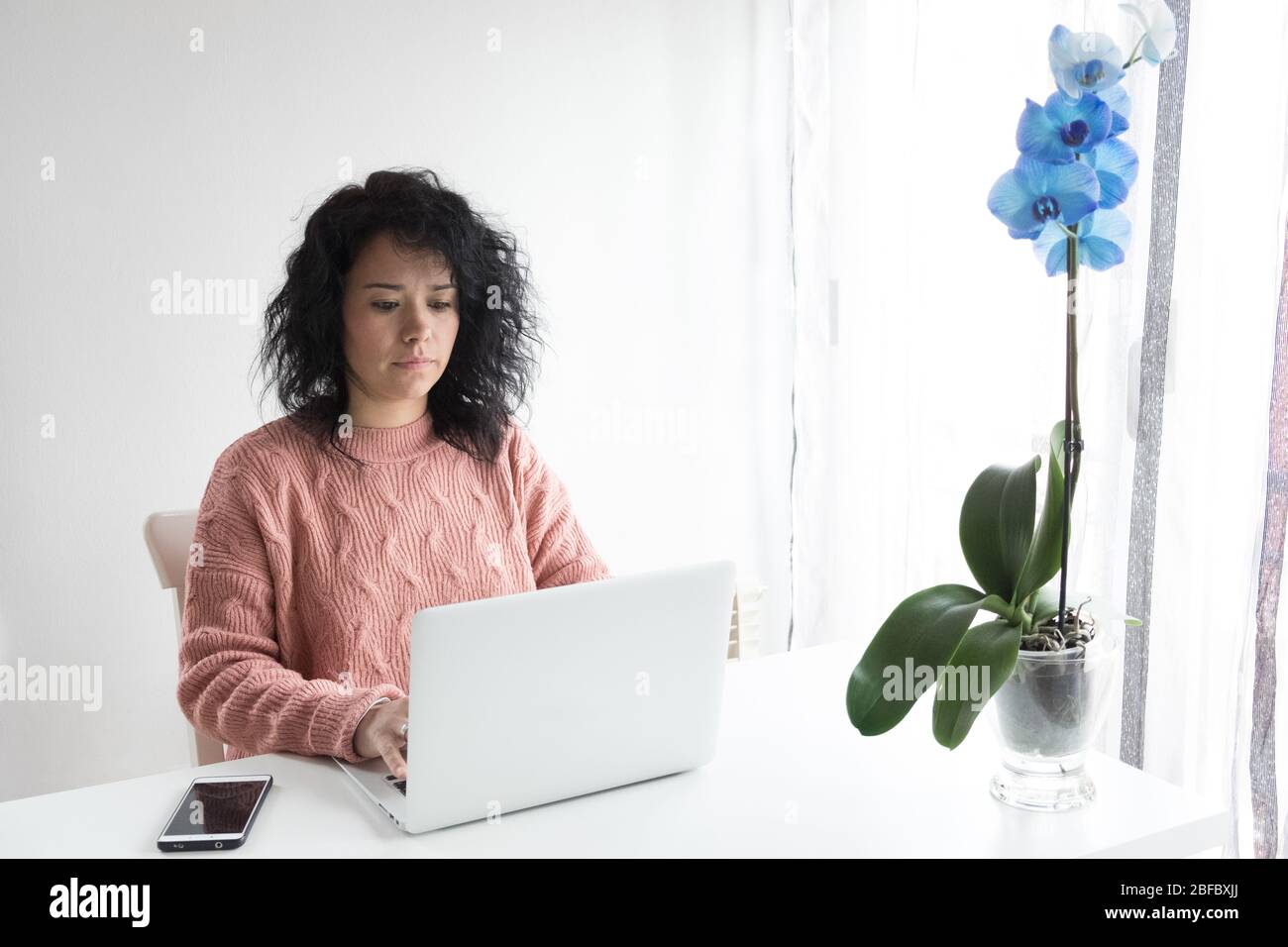 Woman works from home with the computer Stock Photo - Alamy