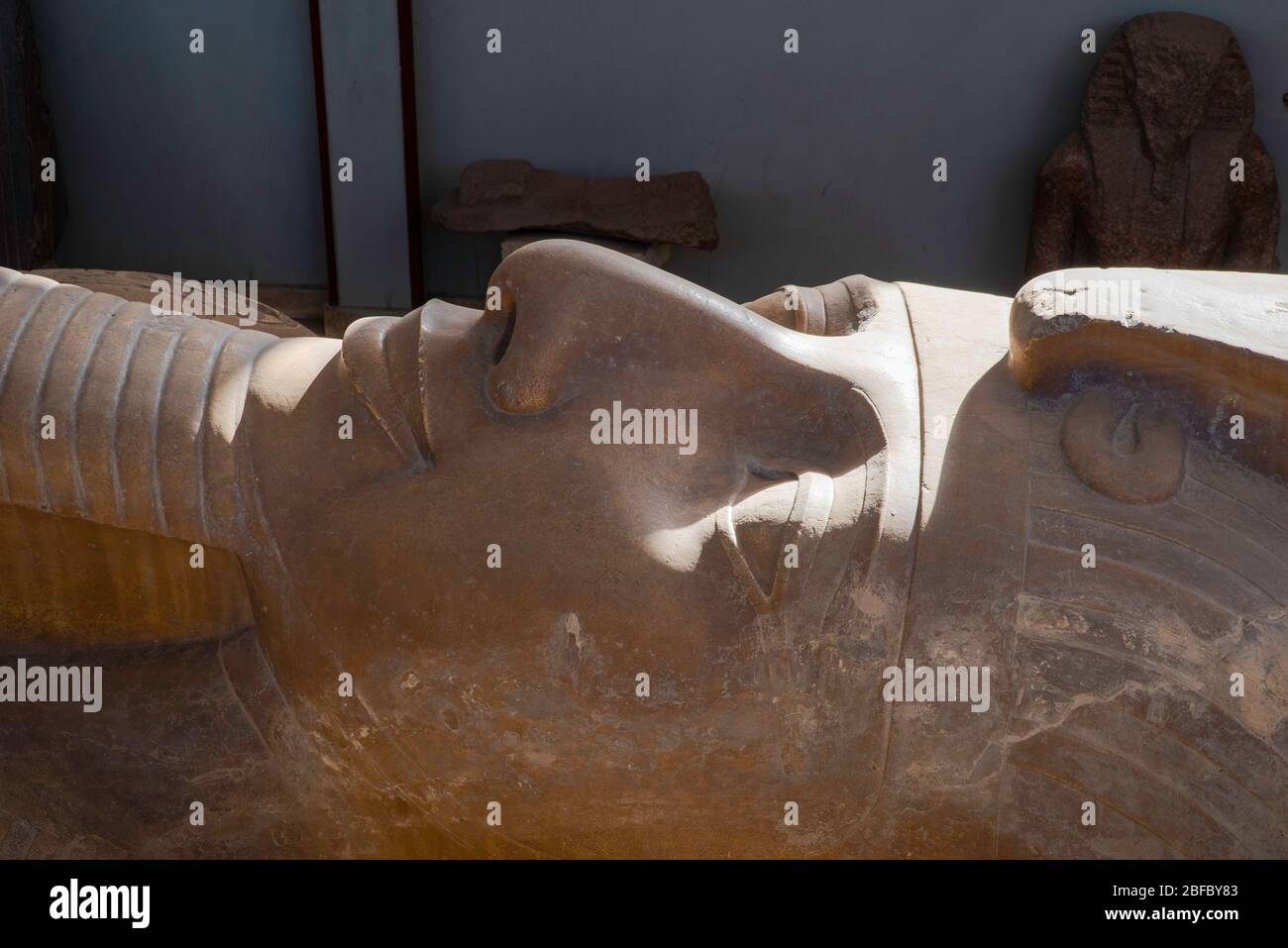 Colossus of Rameses II in the open air Mit Rahina Museum, Al Badrashin ...
