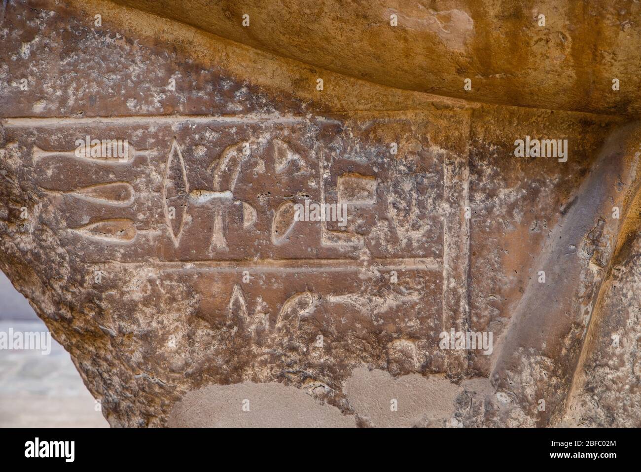Detail: Colossus of Rameses II in the open air Mit Rahina Museum, Al ...