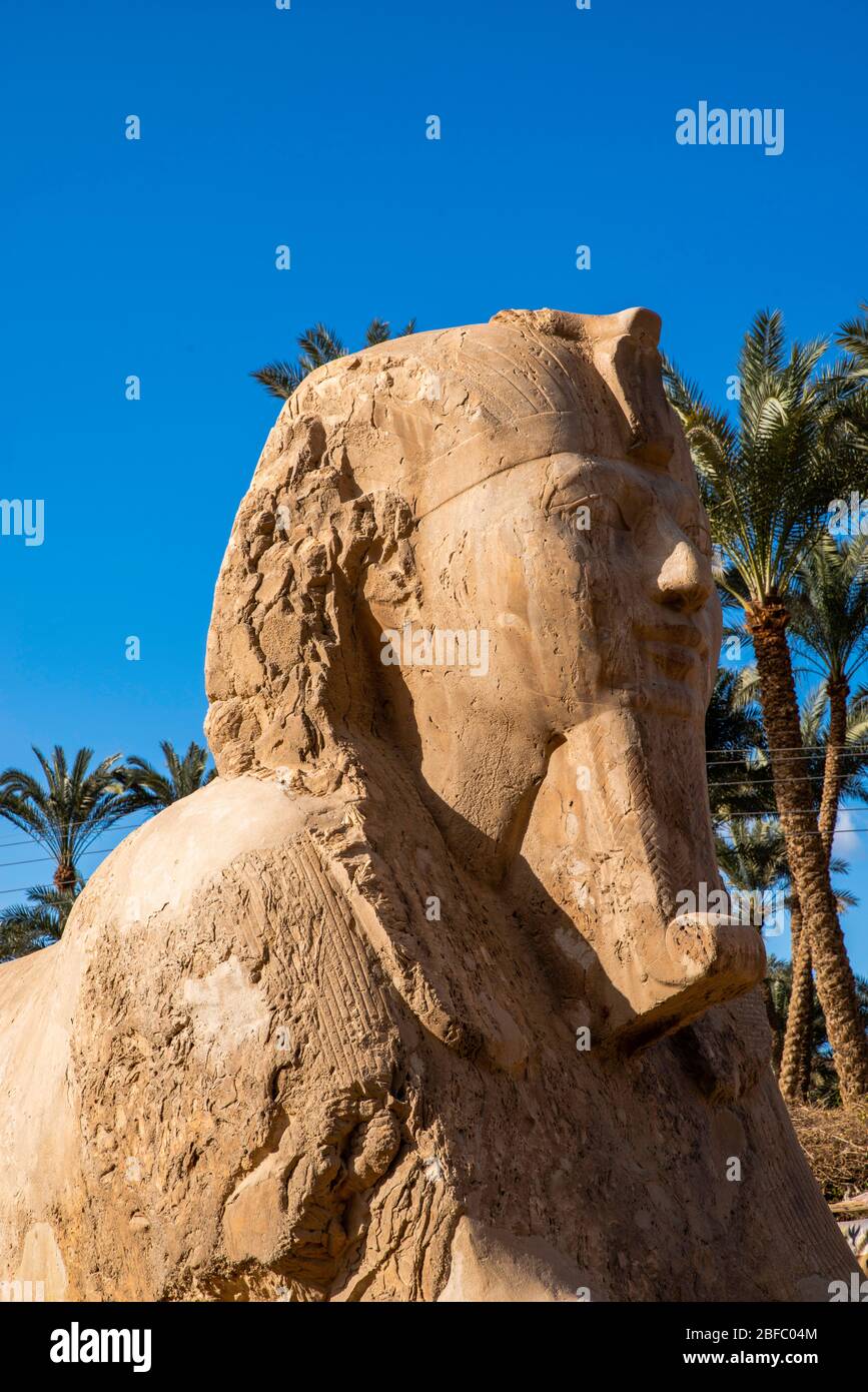 Memphis mit rahina hi-res stock photography and images - Alamy