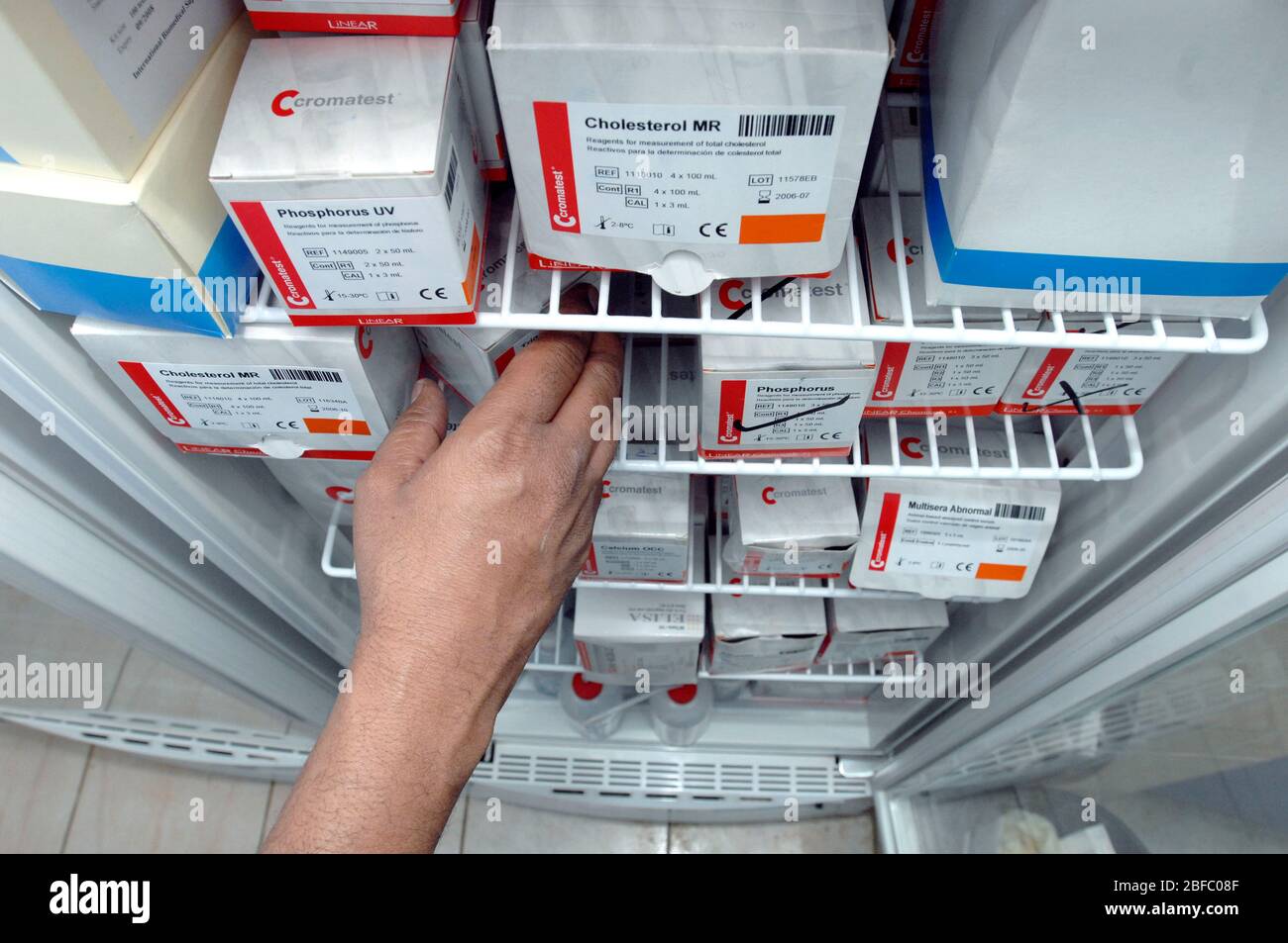 A laboratory assistant reaches into a refrigerator full of laboratory ...