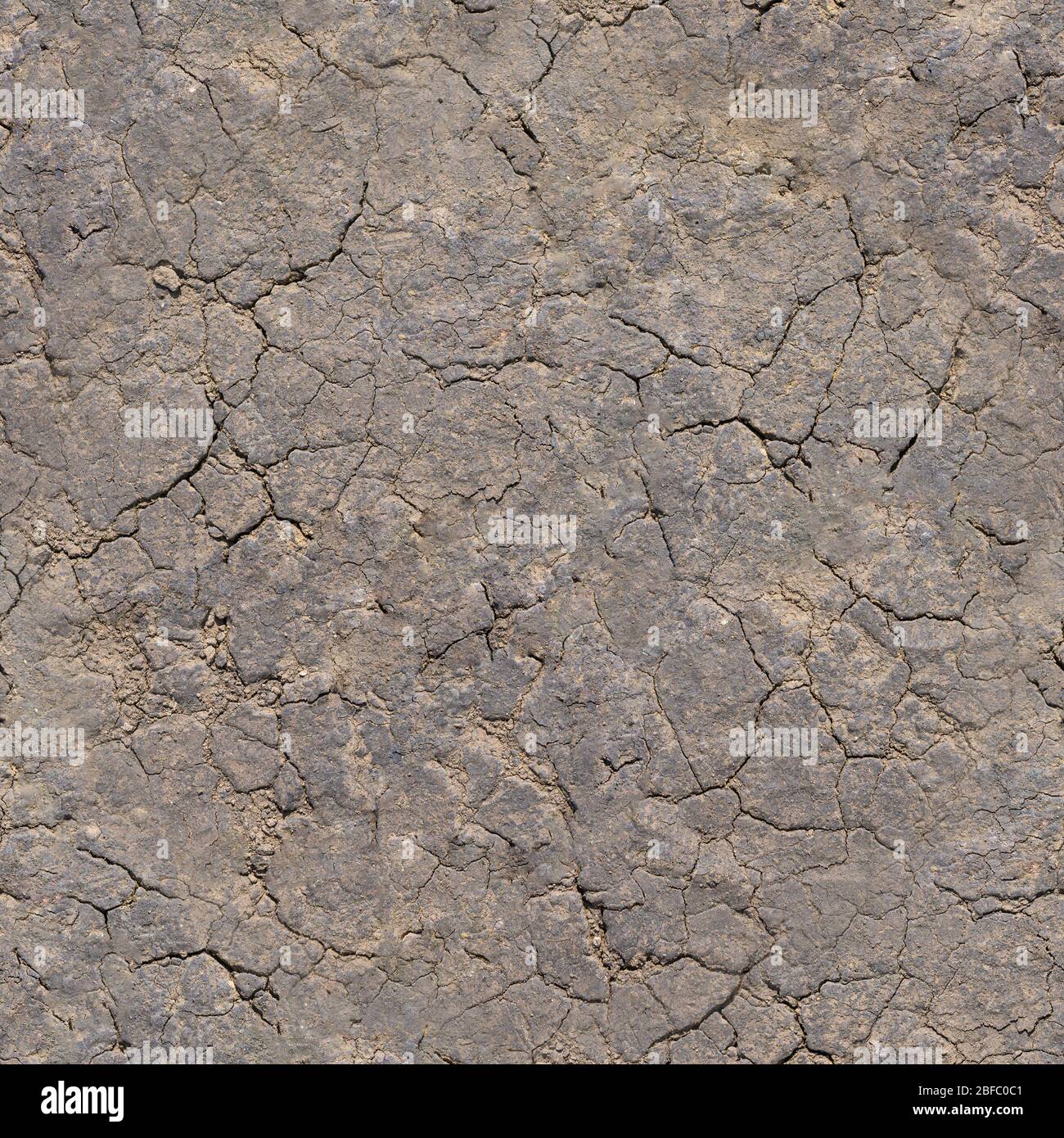 Seamless texture - dry cracked clay soil Stock Photo - Alamy
