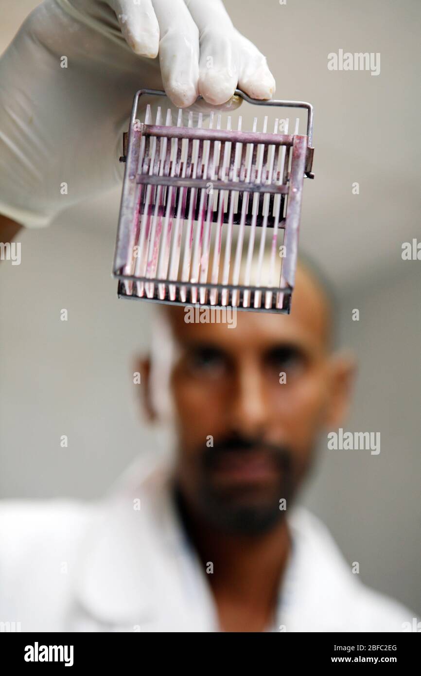 Sample slides hi-res stock photography and images - Alamy