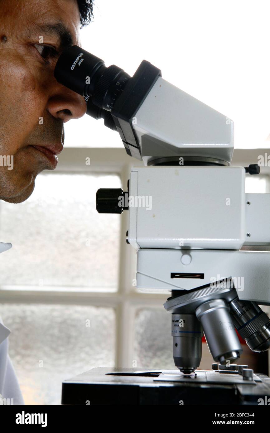Pathologist analysing a sample under a microscope Stock Photo - Alamy