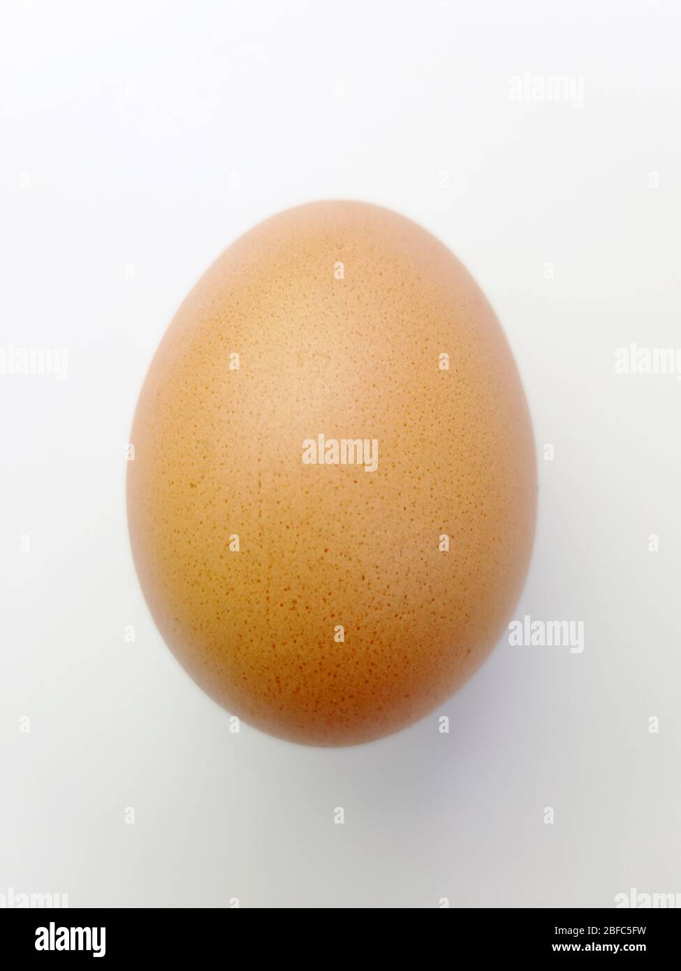 Egg isolated on white background Stock Photo - Alamy