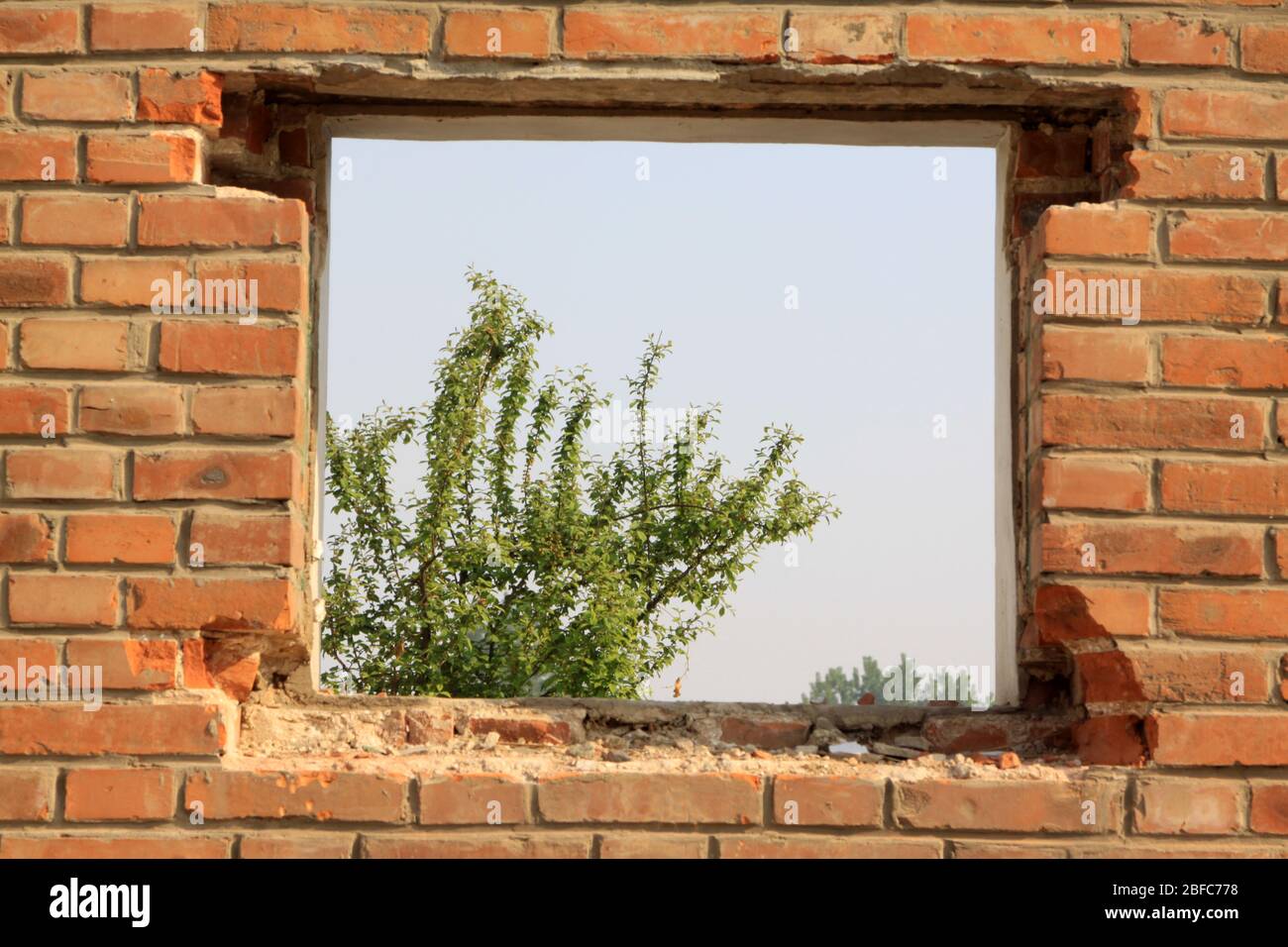 green trees in the broken window in China Stock Photo - Alamy