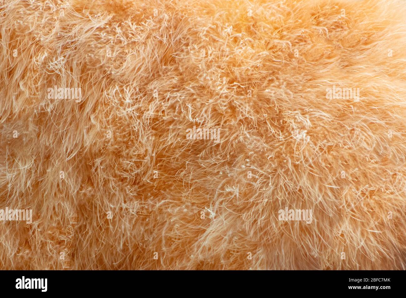 shaggy tan fur backdrop texture background textured skin Stock Photo ...