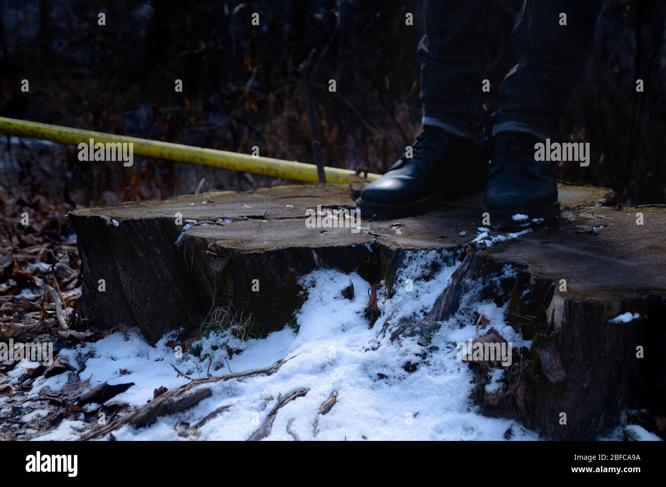 Boots over a log covered in snow Stock Photo - Alamy