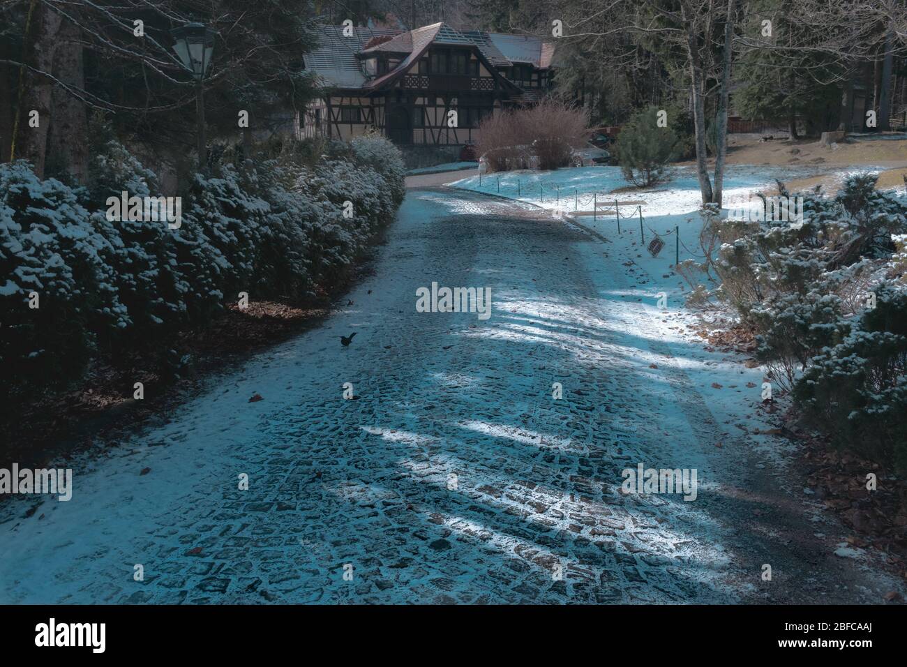 Path leading to a medieval house covered in snow Stock Photo - Alamy