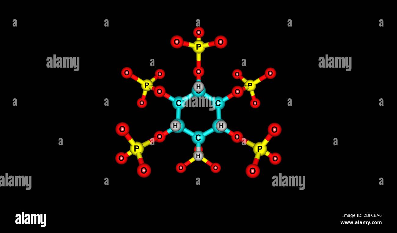 Phytic acid - inositol polyphosphate - phytate when in salt form- a ...